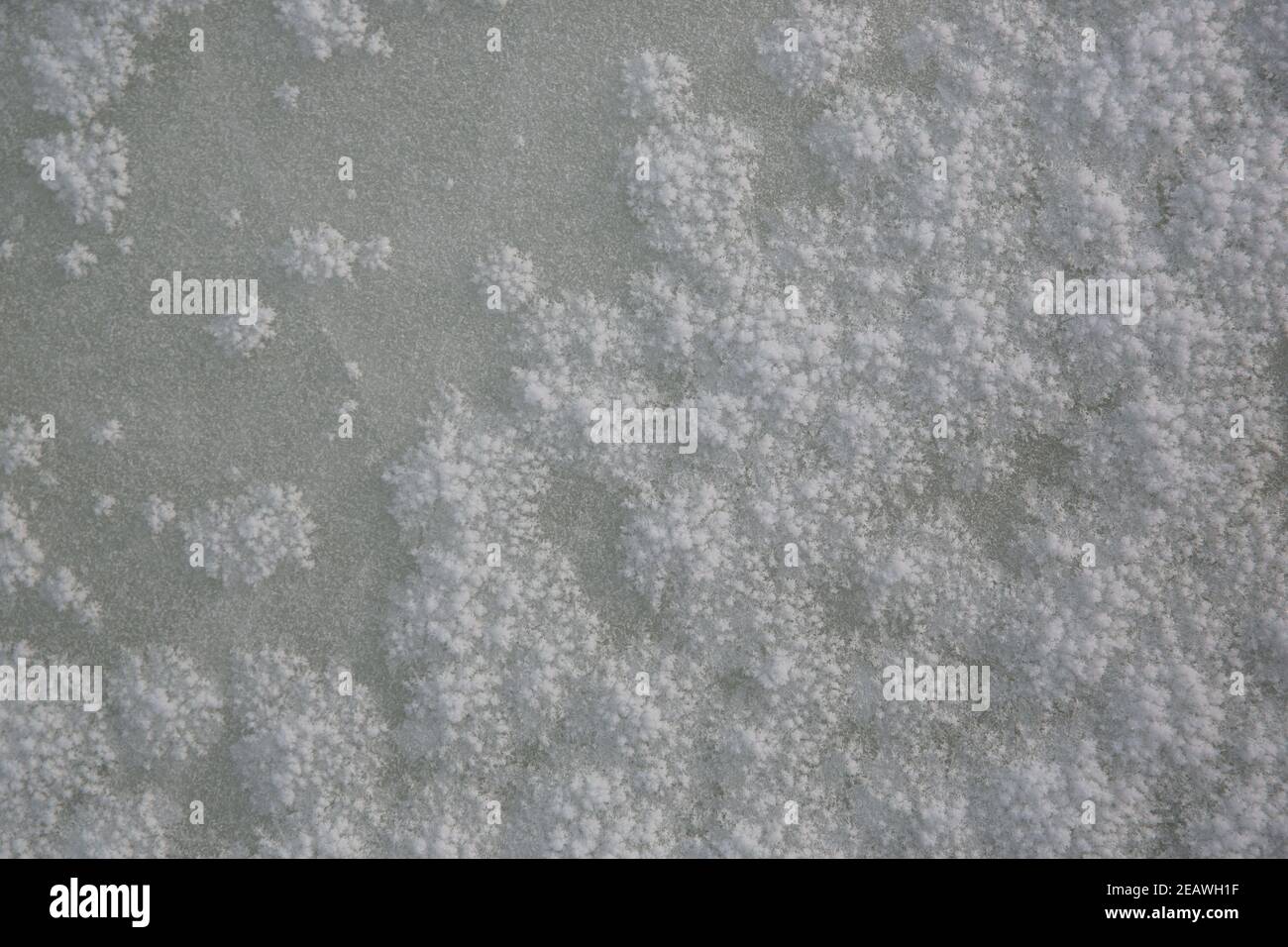 ice texture on the window, white Stock Photo - Alamy