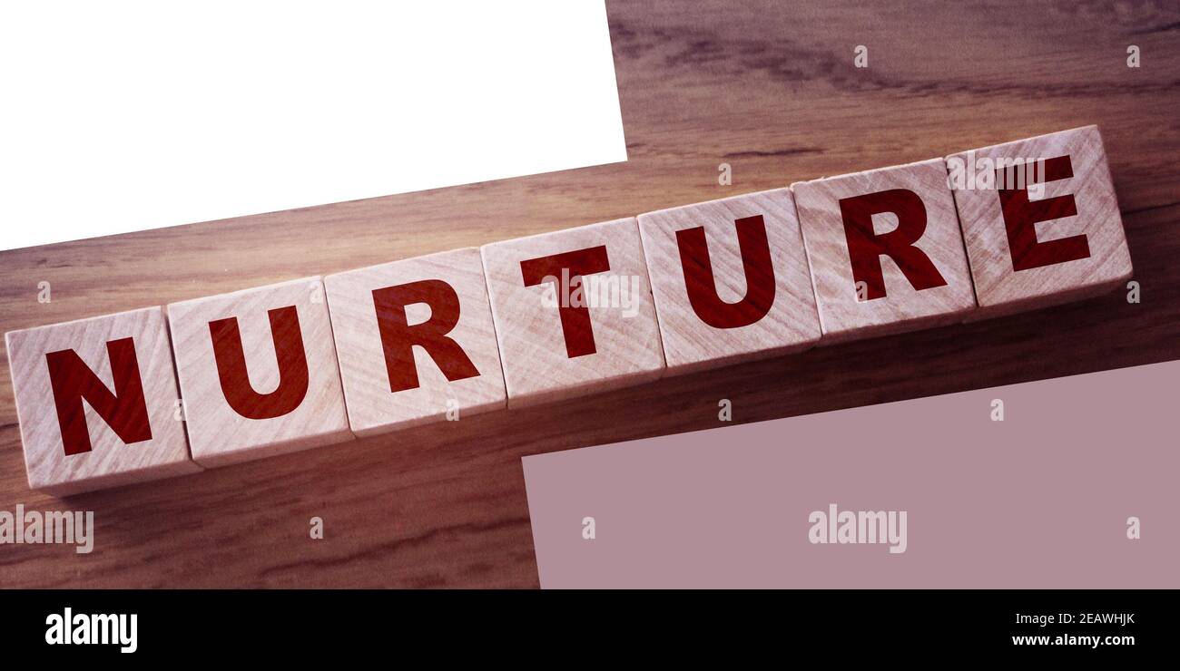 Nurture Word Written In Wooden Cubes. Soft skills education concept ...