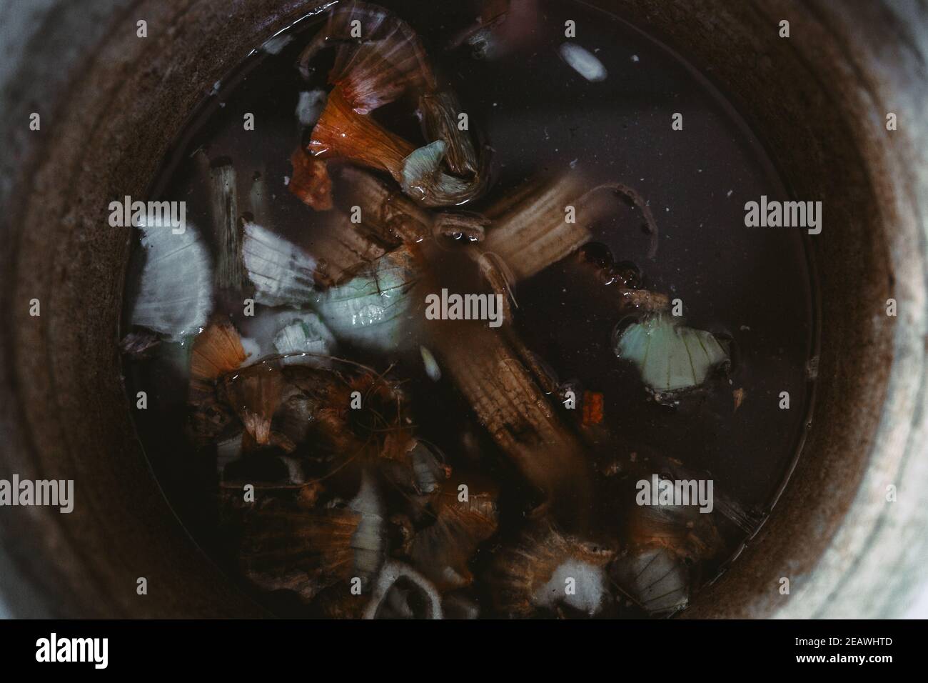 Bucket of dirty water and industrial waste Stock Photo - Alamy