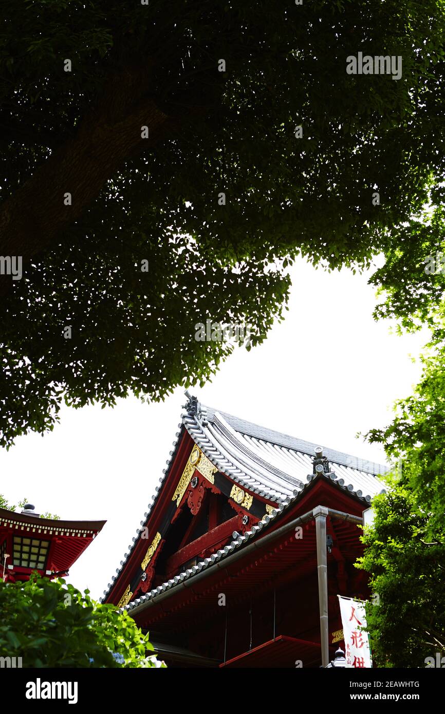 Vertical shot of traditional Asian buildings seen through the foliage ...