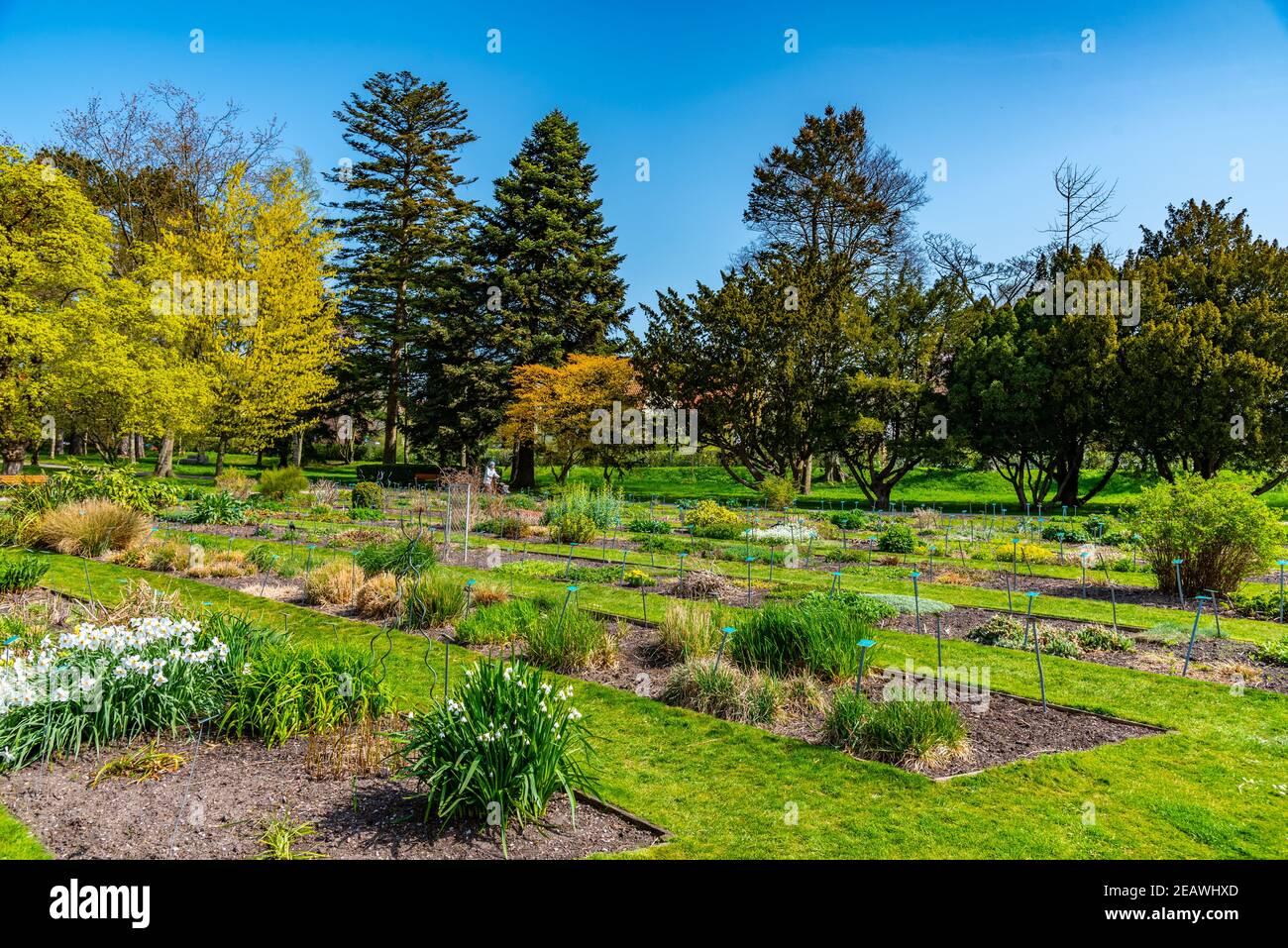 Botanical garden in swedish town Lund Stock Photo - Alamy