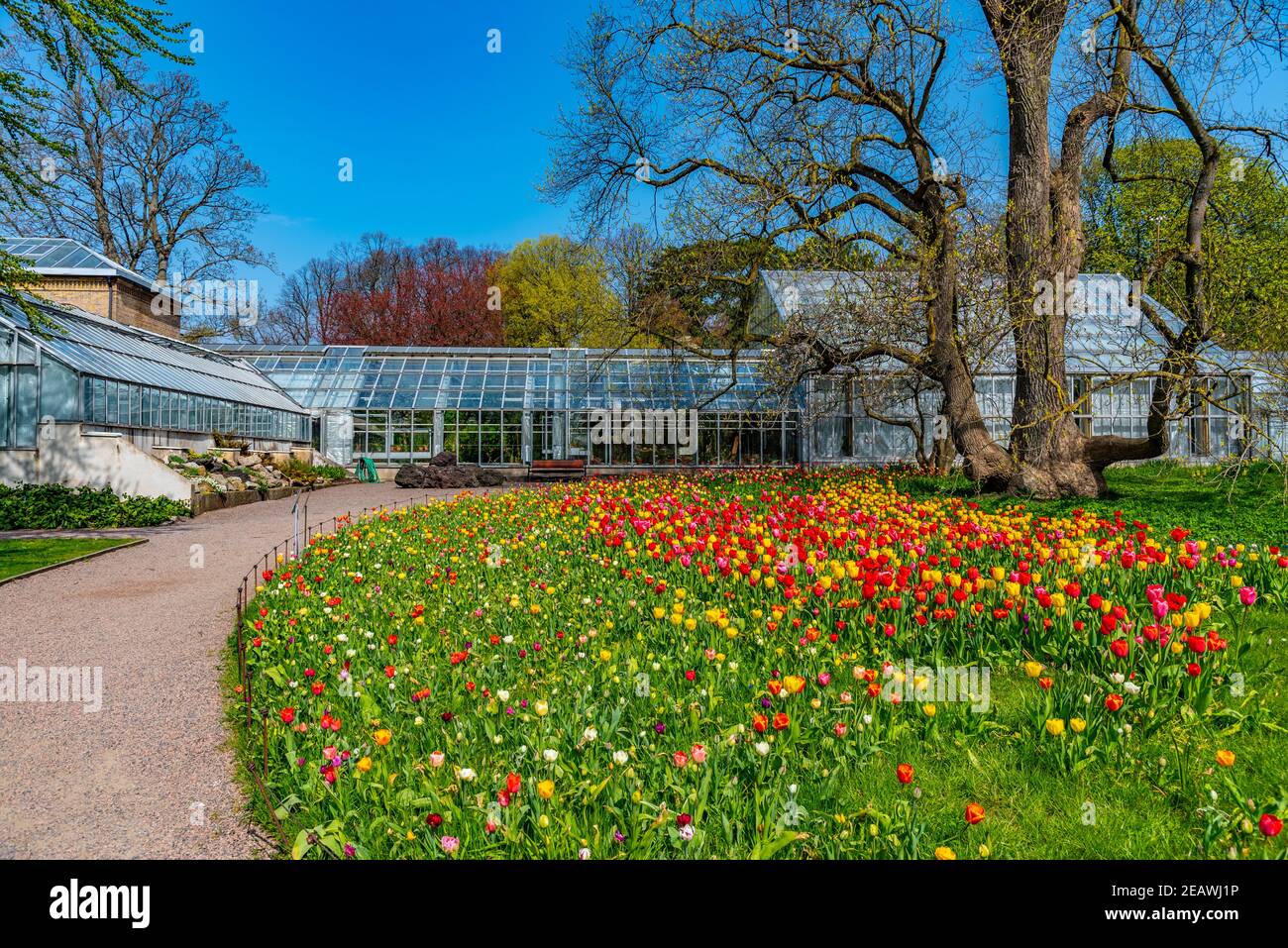 Botanical garden in swedish town Lund Stock Photo - Alamy
