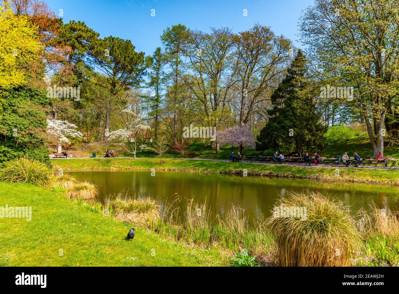 Botanical garden in swedish town Lund Stock Photo - Alamy