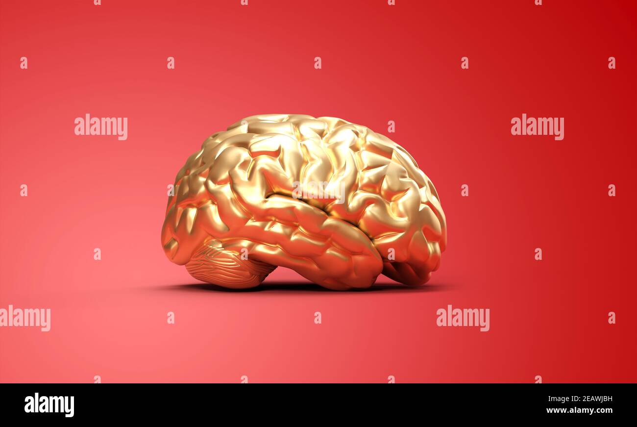 Dementia disease human brain hi-res stock photography and images - Alamy