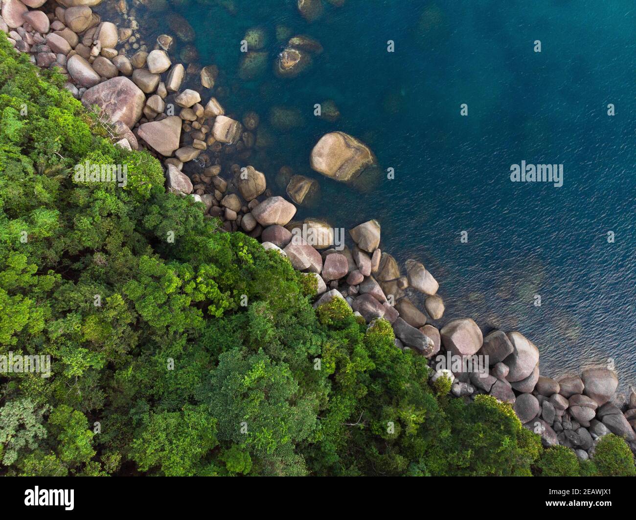 Littoral forest hi-res stock photography and images - Alamy