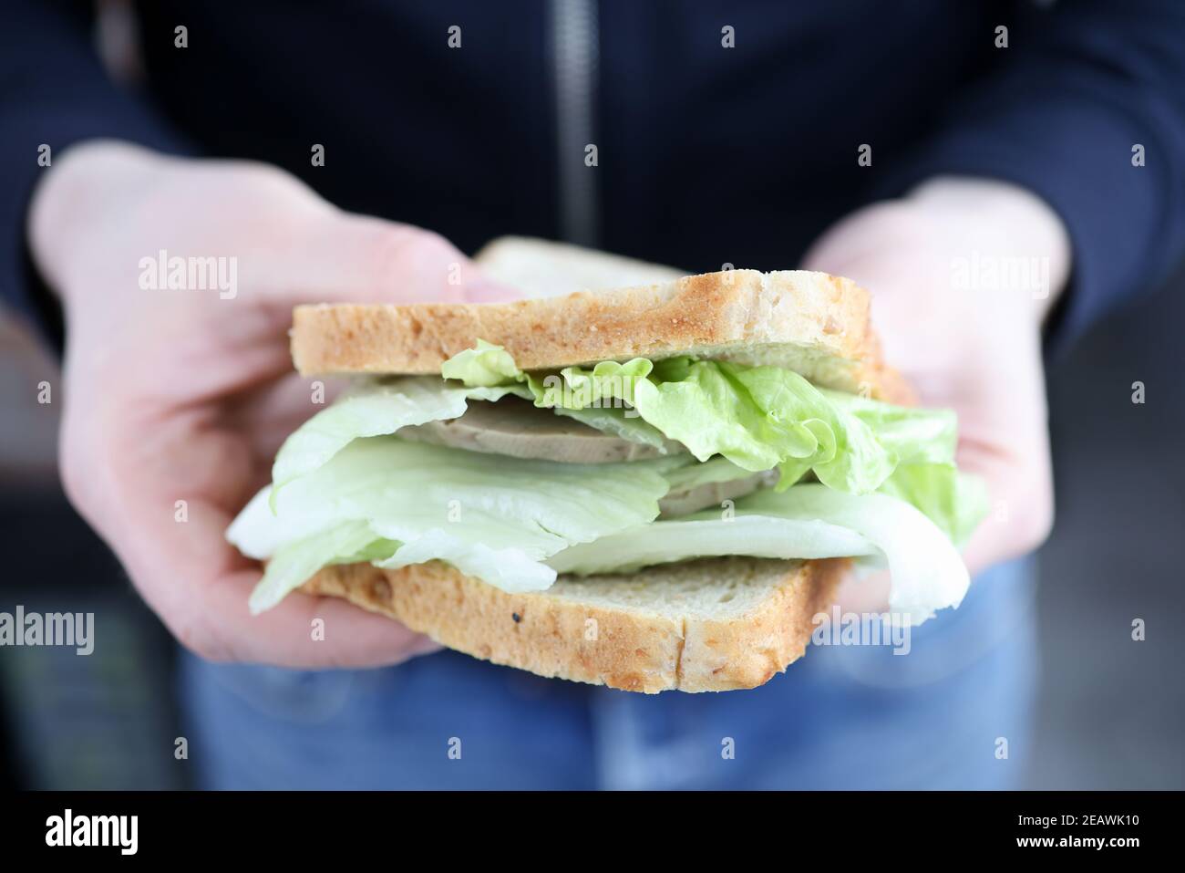 Hands holding sandwich hi-res stock photography and images - Alamy