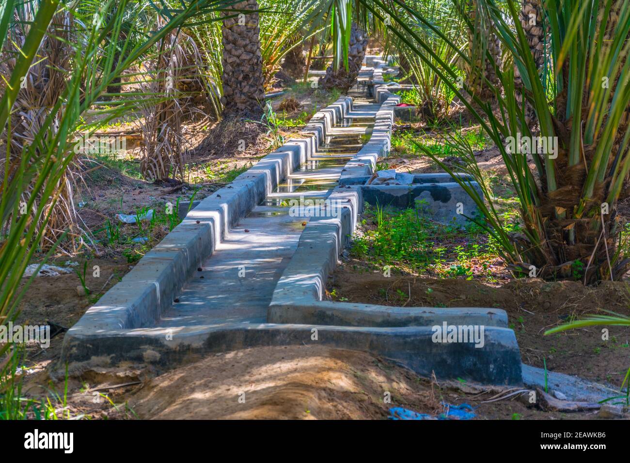 View of the unesco enlisted oasis in Al Ain, UAE Stock Photo - Alamy
