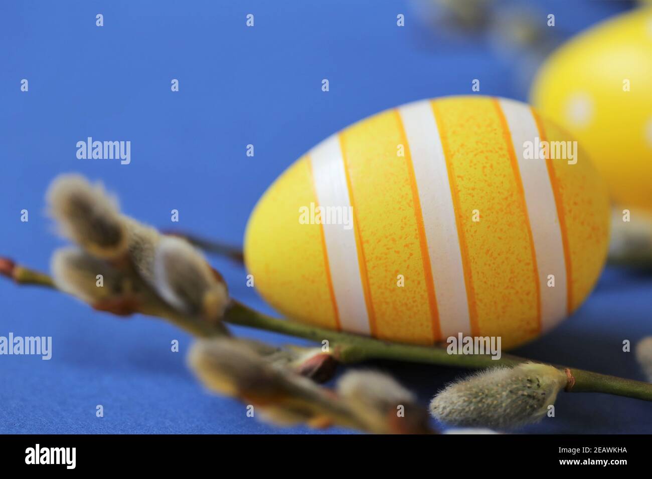 Easter holiday.Yellow easter eggs and pussy willow sprigs on bright ...