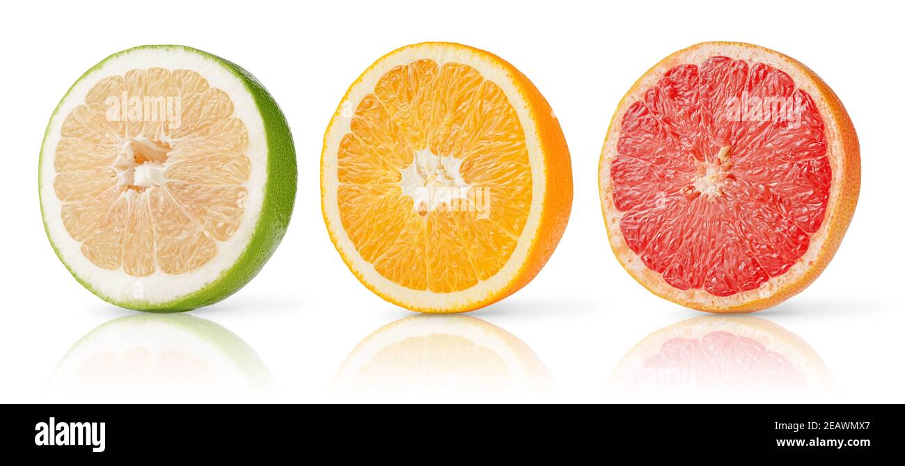 Citrus fruits halves collection of grapefruit, orange and sweetie ...