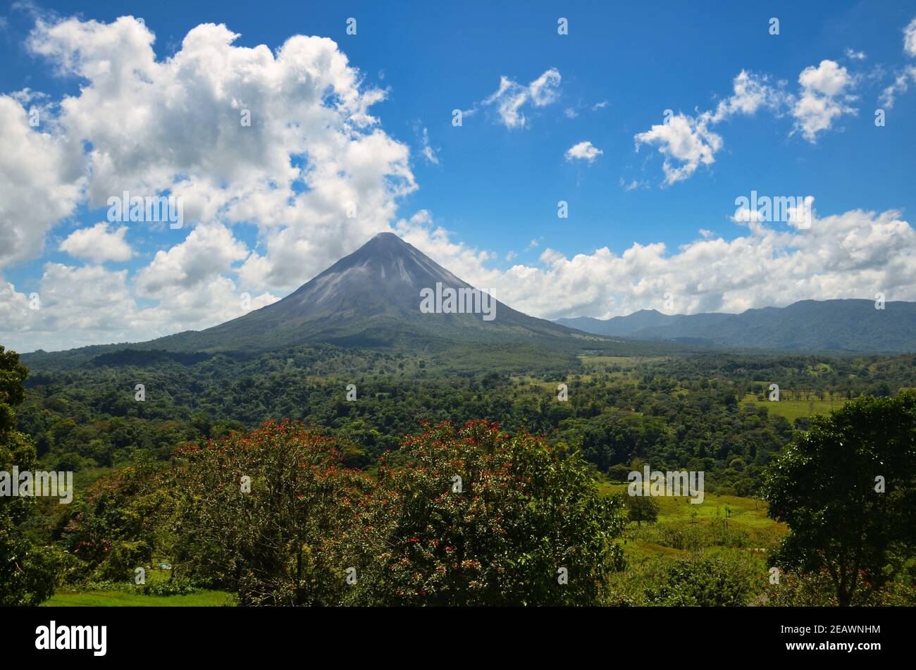 Volcano Arenal next to the rainforest, Costa Rica Pacific, Nationalpark ...