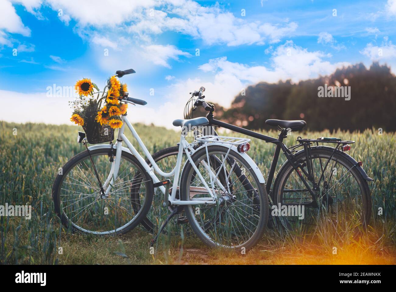 Active vintage retro bikes hi-res stock photography and images - Alamy
