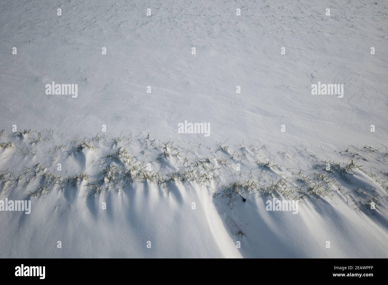 Top and close up view at thick layer of snow cover grass ground field ...