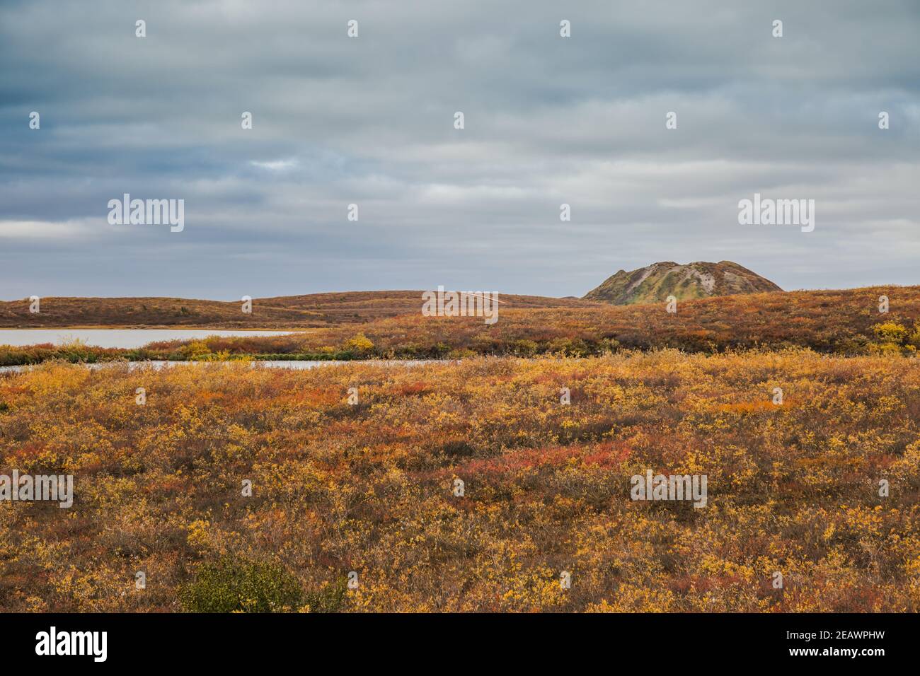 A Pingo (intra-permafrost ice-cored hill) in the distance along the ...
