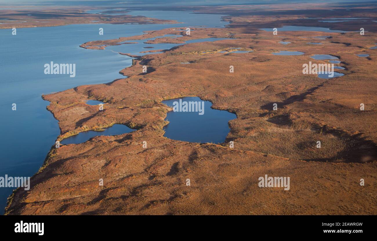 Aerial fall view of the arctic tundra and lakes, outside of Tuktoyaktuk ...