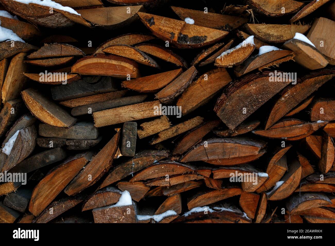 The texture of the coniferous forest is folded, felling of trees ...