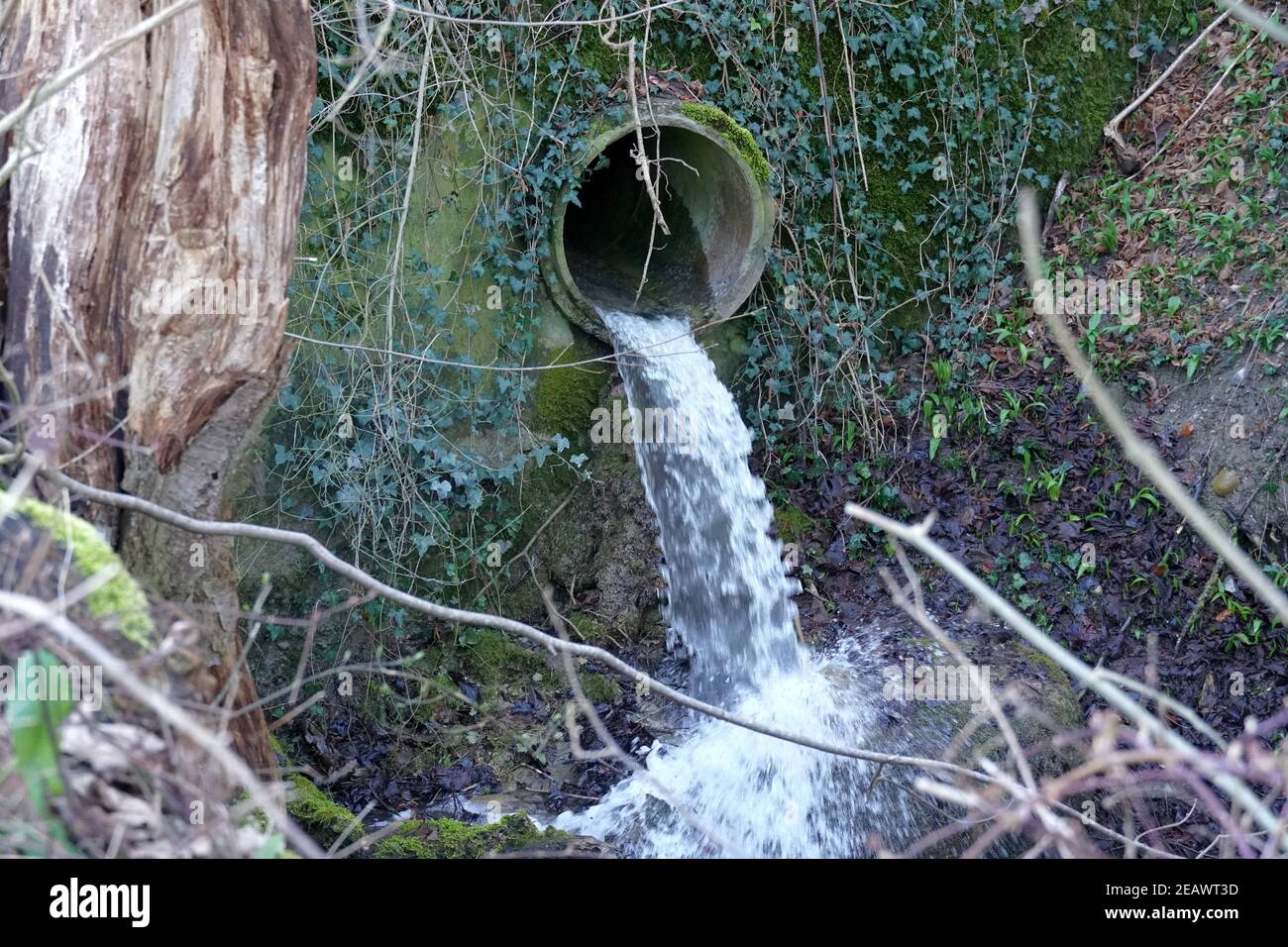 Regulated stream or brook coming from underground out of a large pipe ...