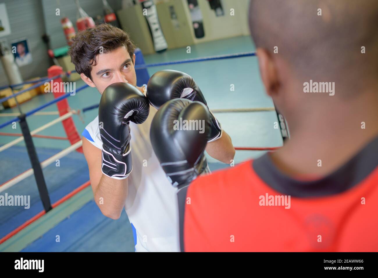 Two men boxing hi-res stock photography and images - Alamy