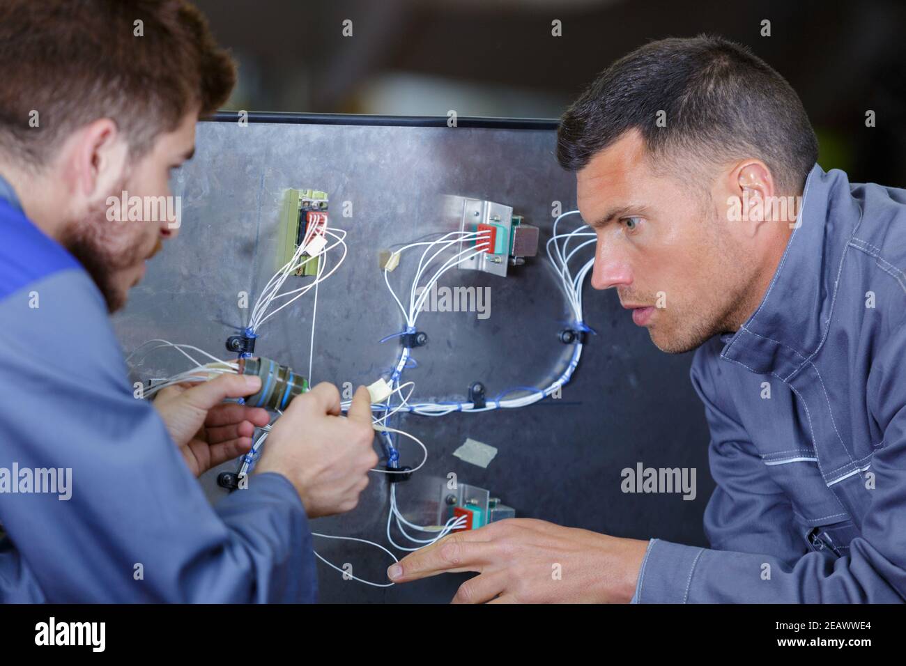 portrait of electrician engineer at work Stock Photo - Alamy