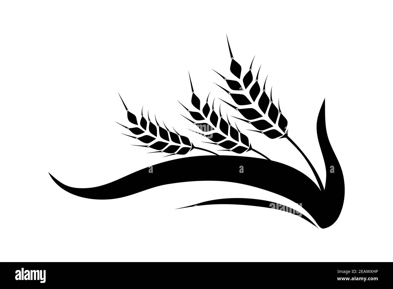 Vector Spikelet isolated on white background. Spica plant. Wheat, rice ...