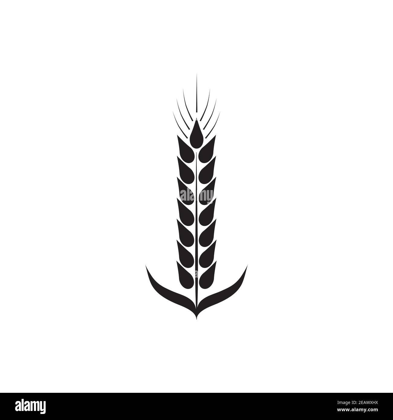 Wheat spikelets line icon. Wheat farm symbol. Liner style. Vector ...