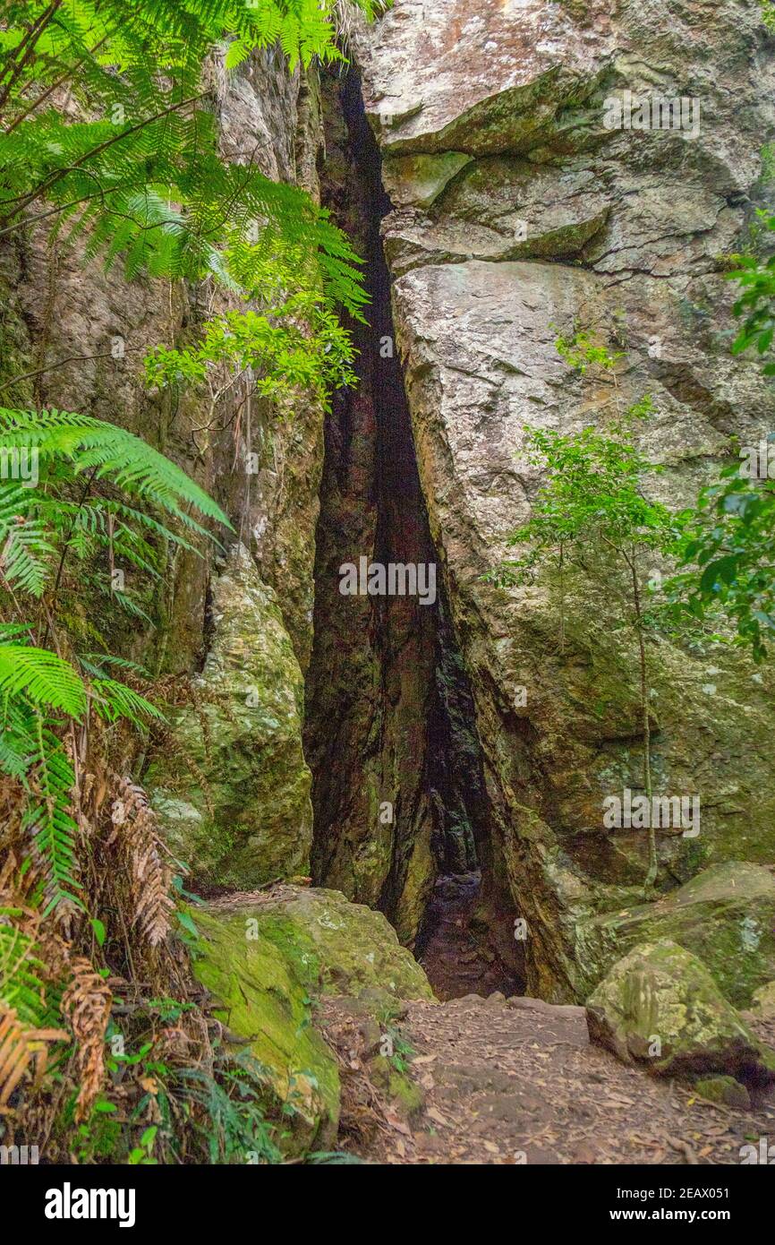 Cave tropical rainforest hi-res stock photography and images - Alamy