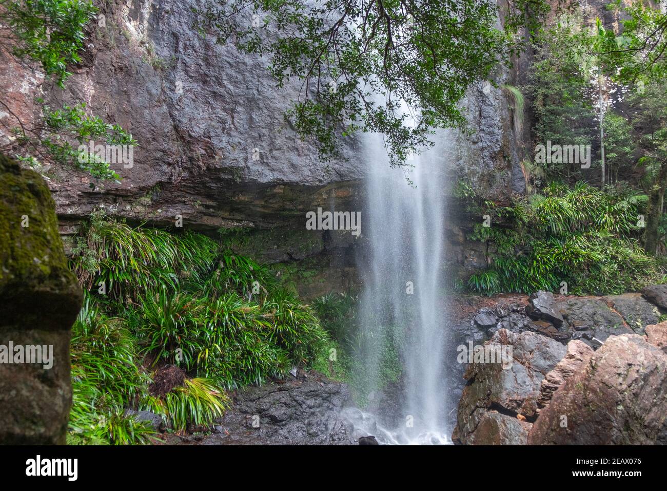 Rainbow Falls, Springbrook National Park, Queensland, Australia Stock ...