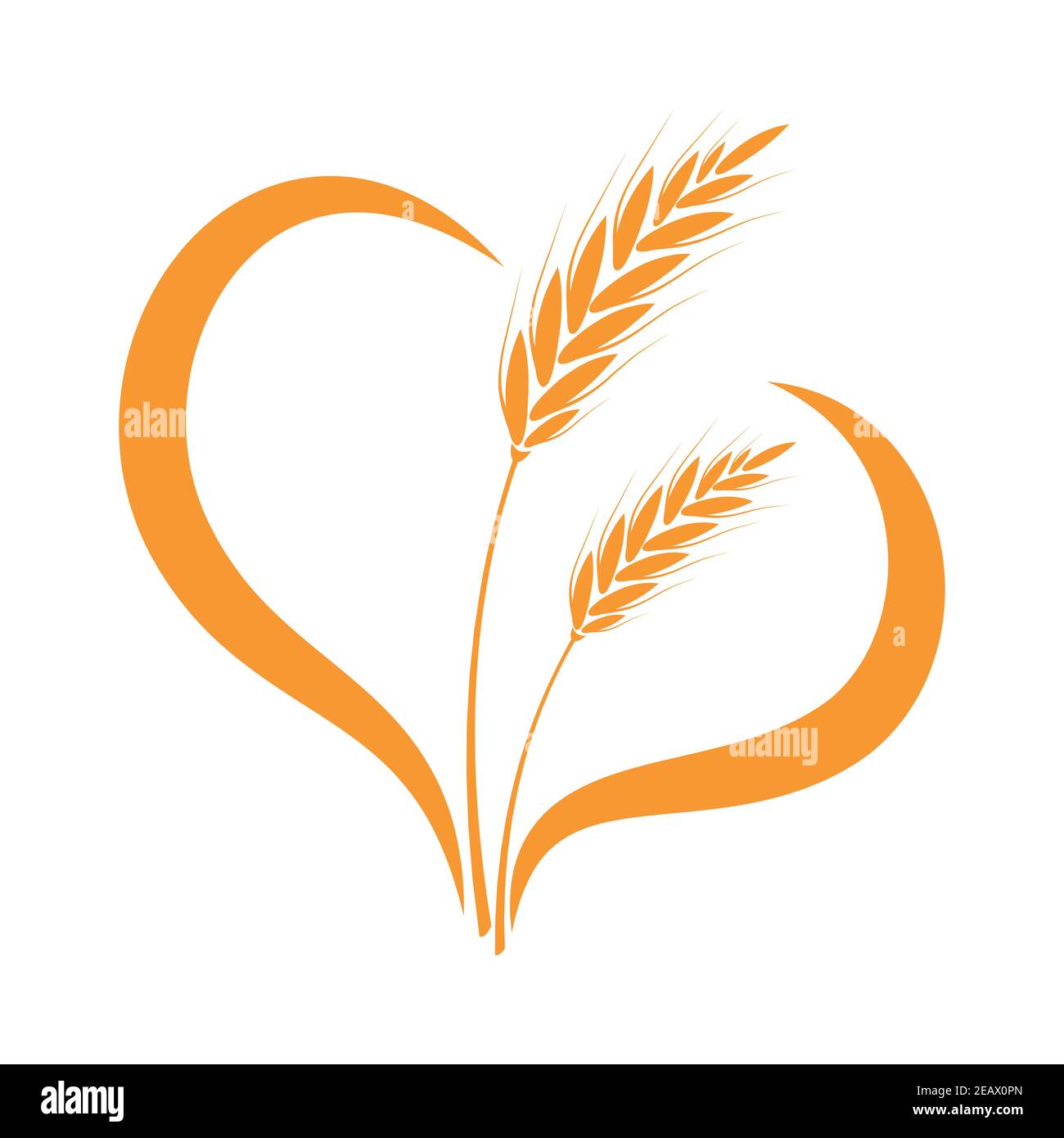 Vector Spikelet isolated on white background. Spica plant. Wheat, rice ...