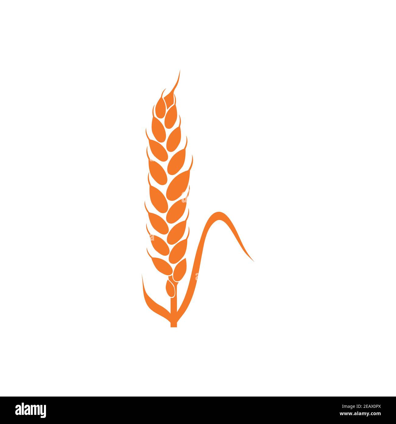Wheat spikelets line icon. Wheat farm symbol. Liner style. Vector ...