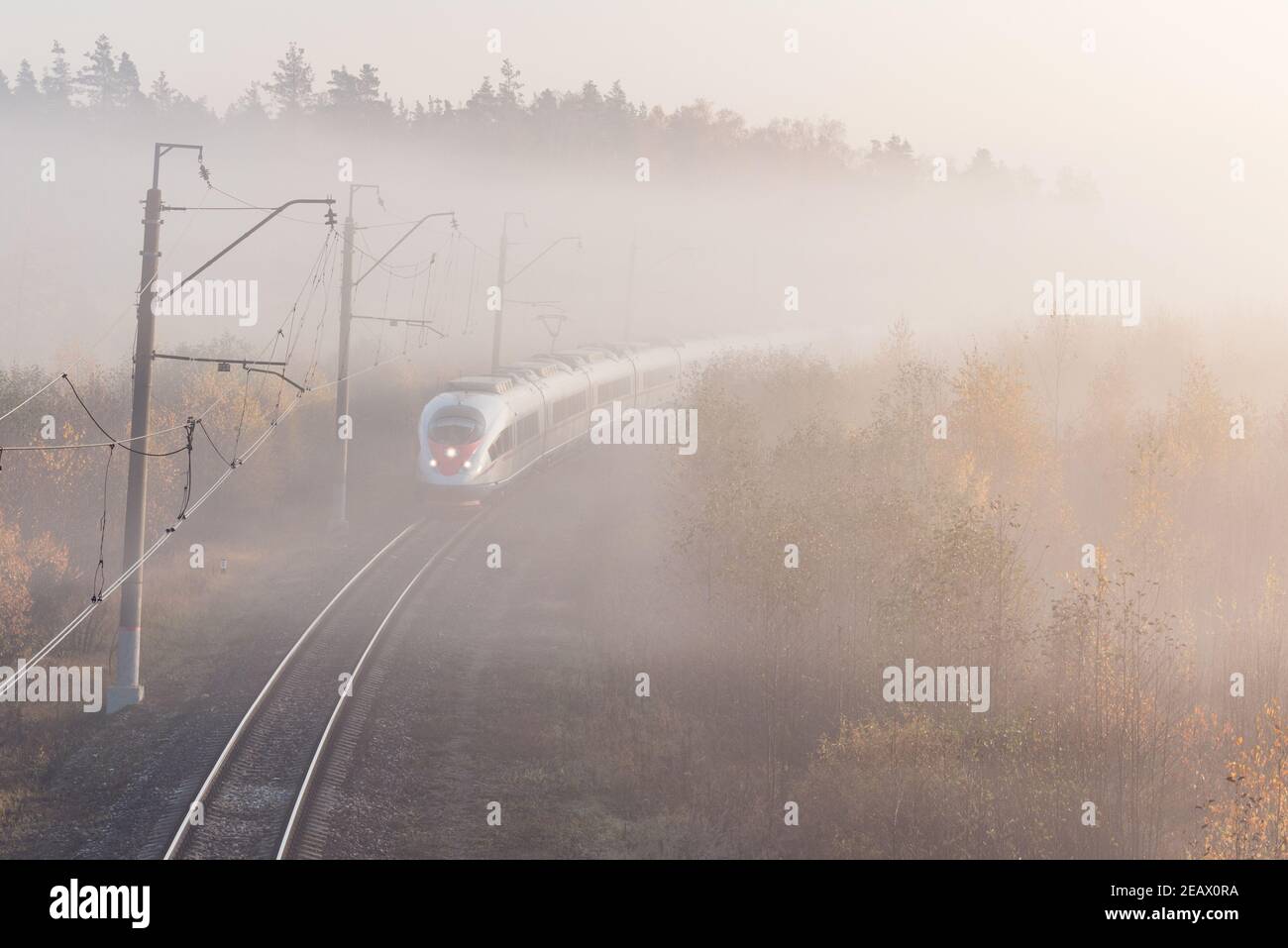 Modern high-speed train approaches to the station at foggy autumn ...