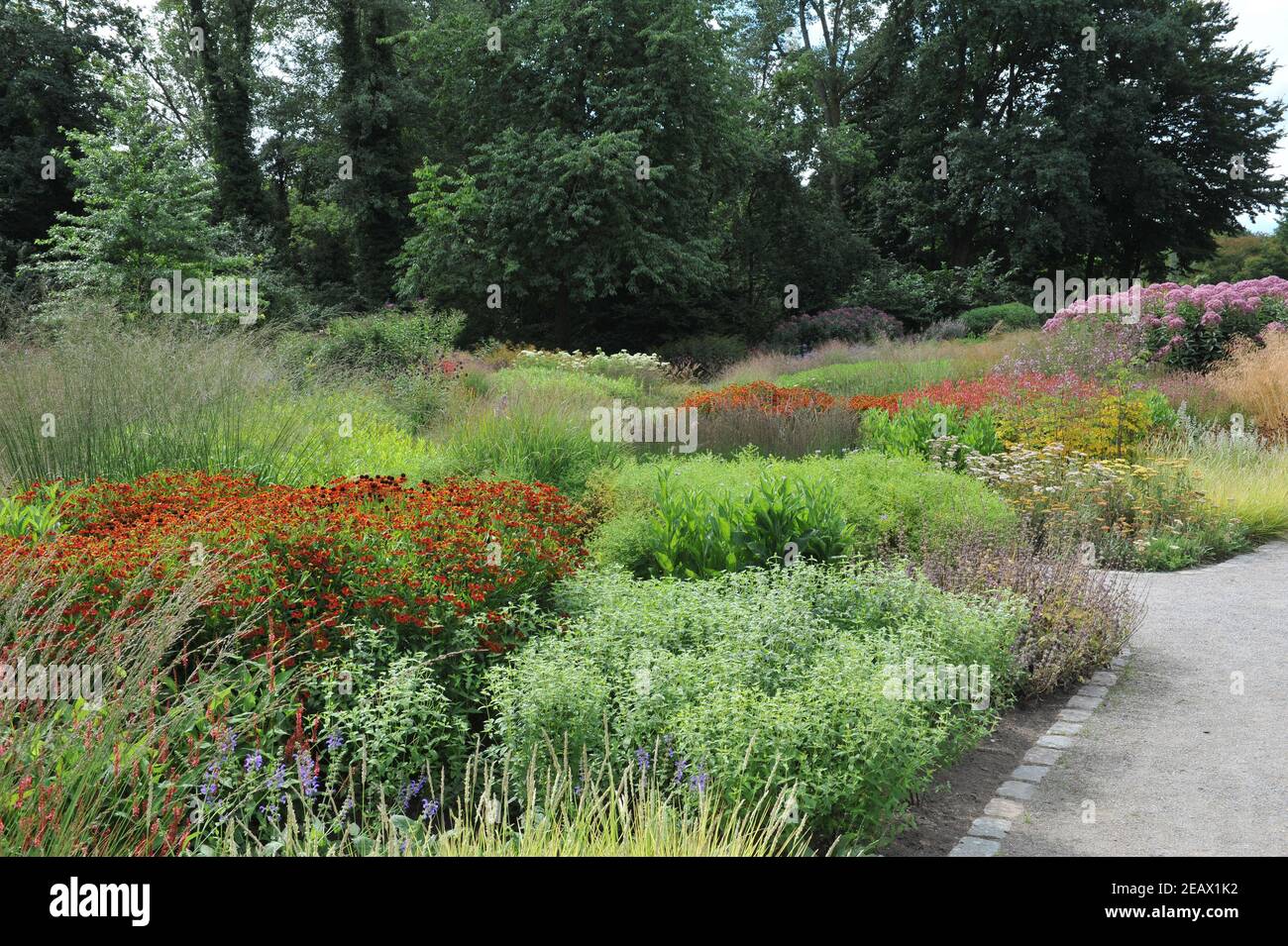 HAMM, GERMANY - 15 AUGUST 2015: Planting in perennial meadow style ...