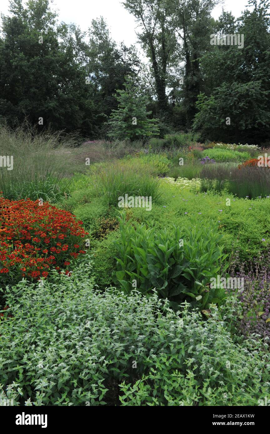 HAMM, GERMANY - 15 AUGUST 2015: Planting in perennial meadow style ...