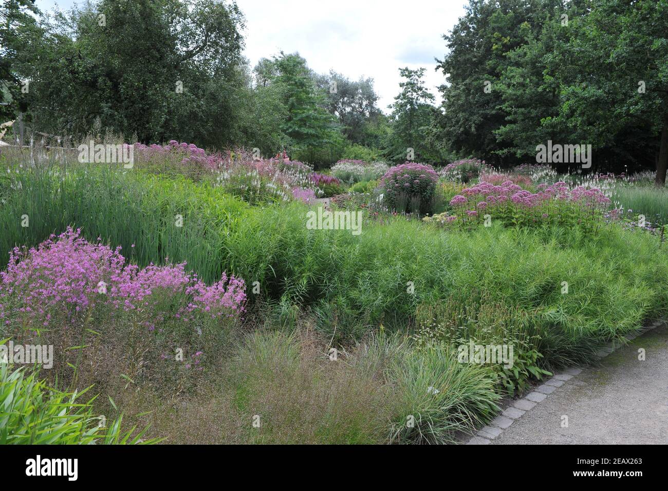 Piet oudolf prairie hi-res stock photography and images - Alamy