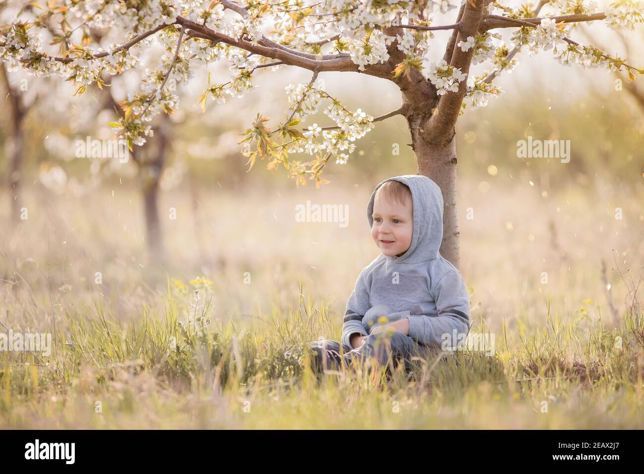 Boy sitting under tree in hi-res stock photography and images - Alamy
