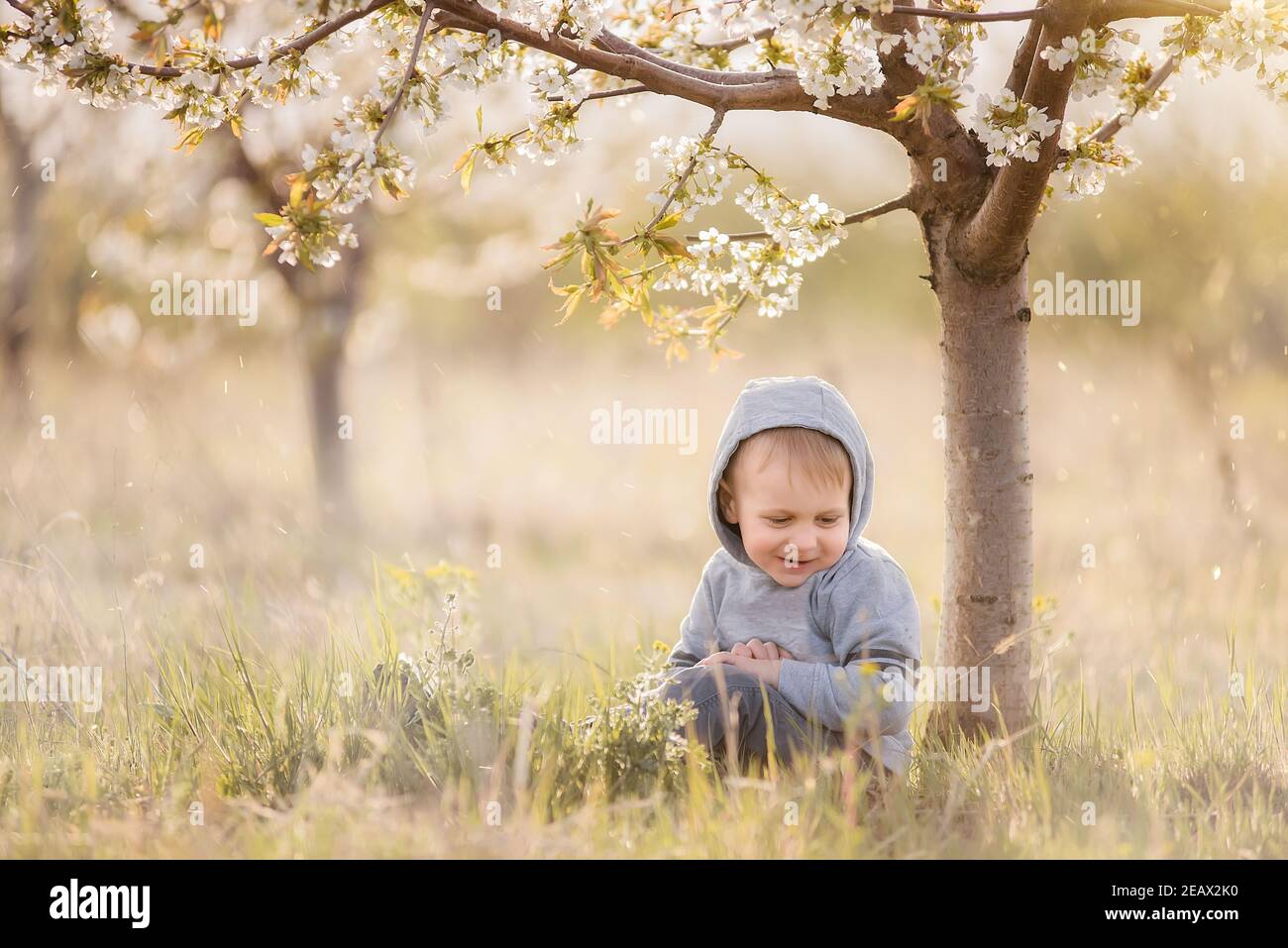 Boy sitting under tree in hi-res stock photography and images - Alamy