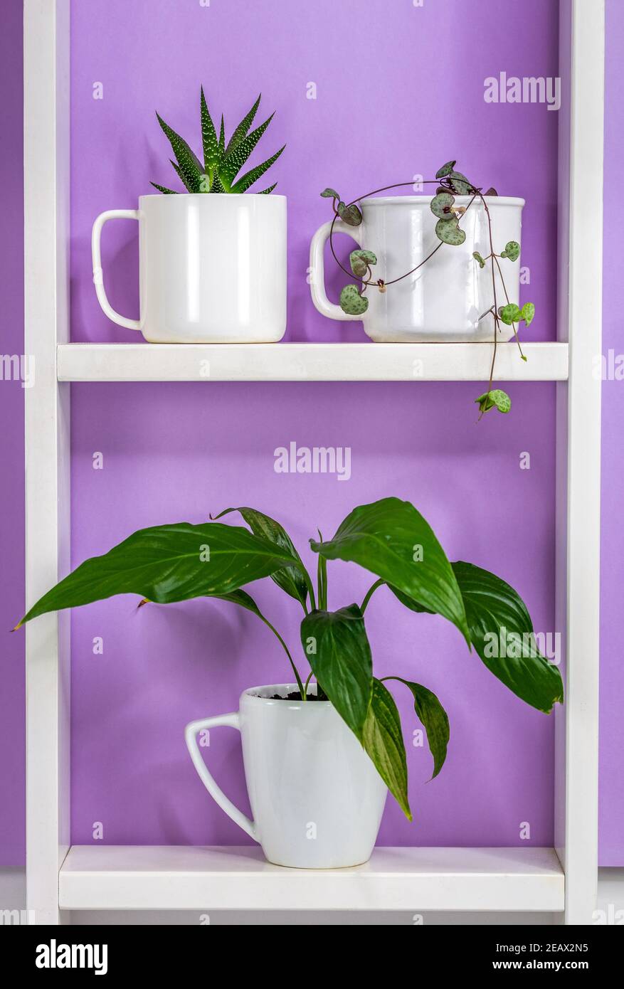 Sustainability environment quirky hi-res stock photography and images ...