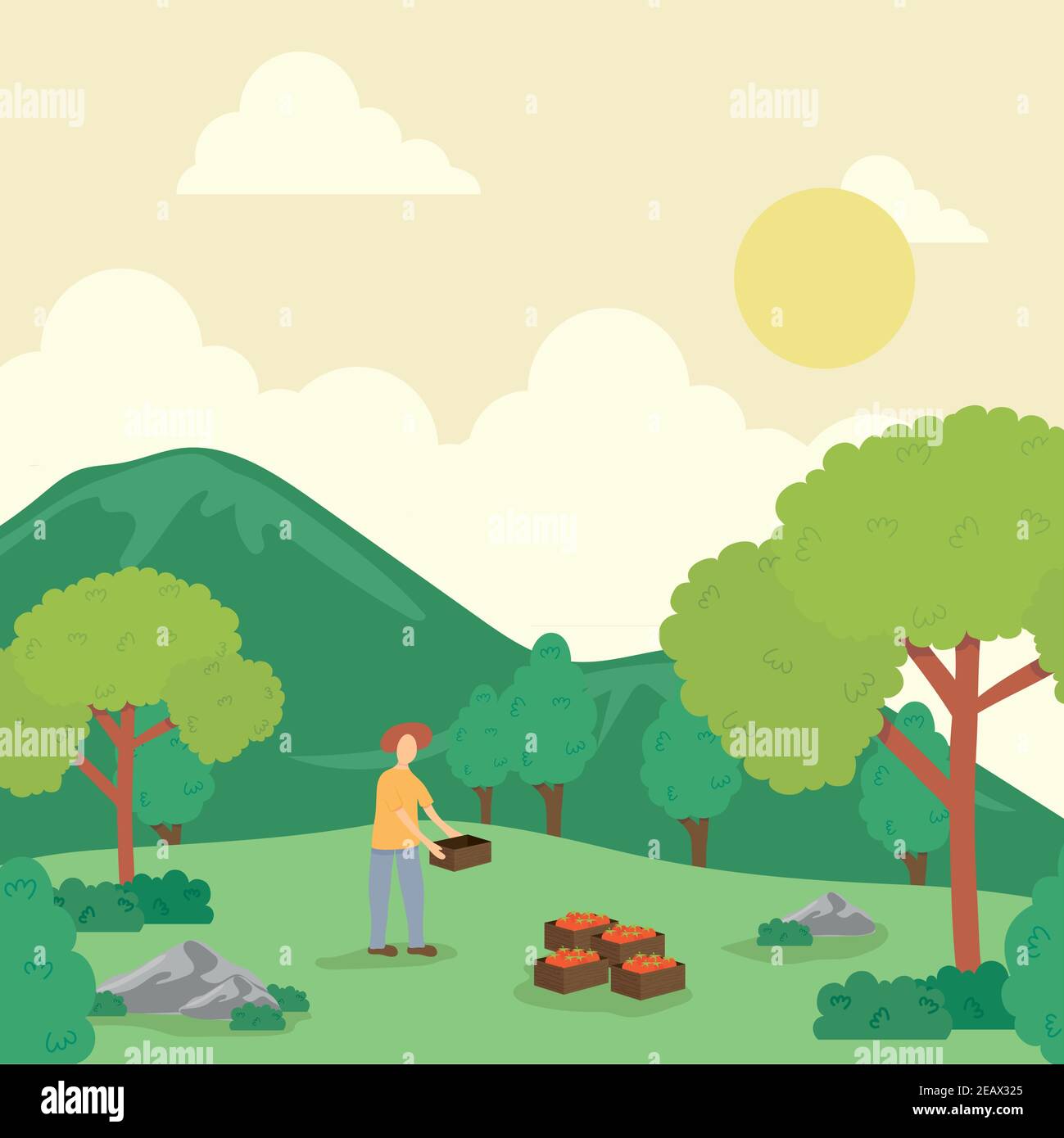 Farmer with tomatoes at landscape design, Agronomy lifestyle ...