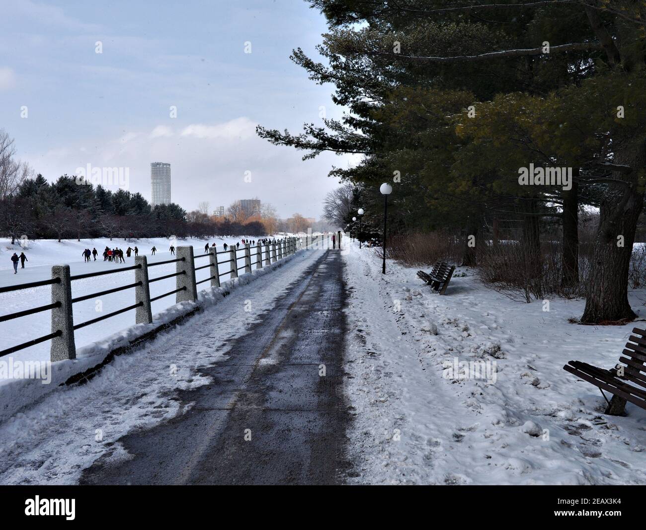 Skaters on the world's longest rink enjoying a fine winter weekend day ...