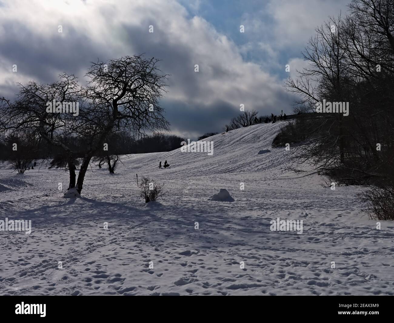Toboggan ontario canada hi-res stock photography and images - Alamy