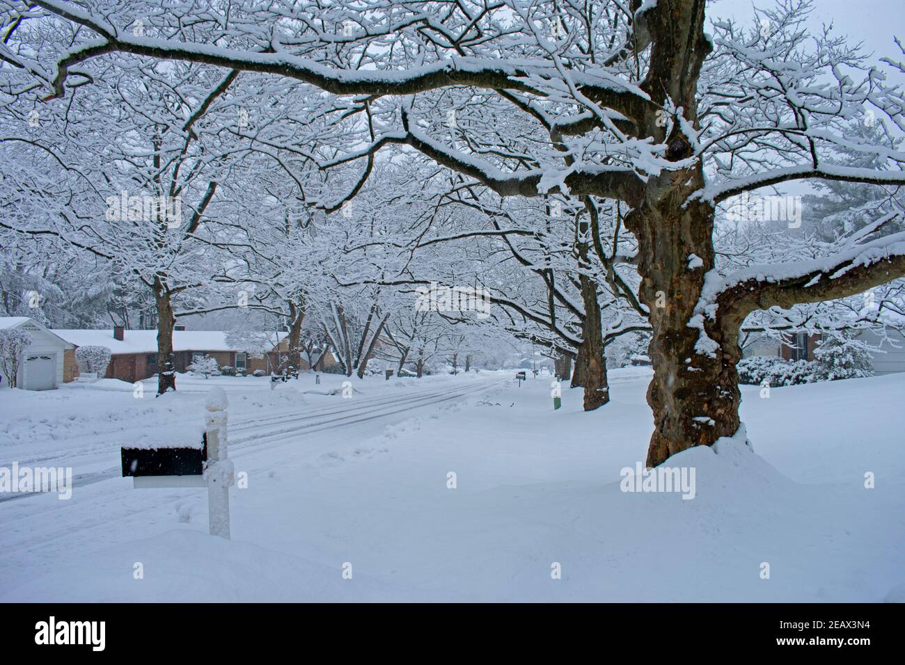 Suburb street light hi-res stock photography and images - Alamy