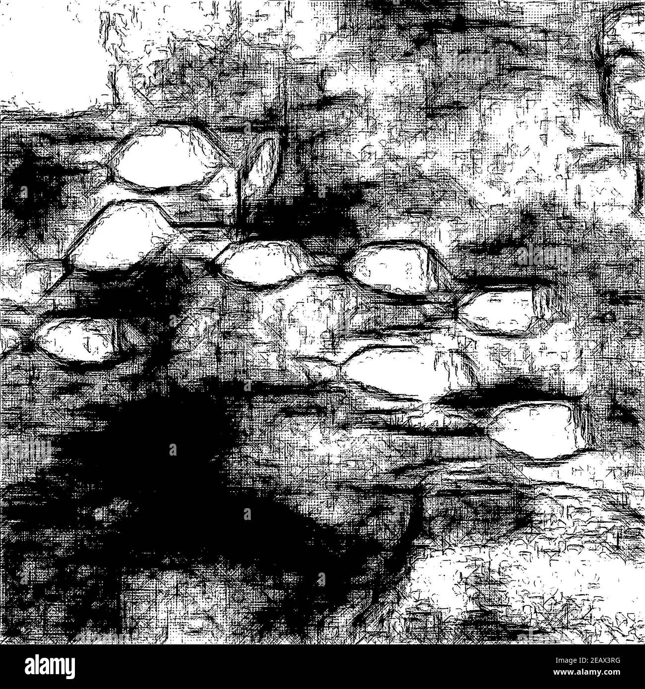 Fresh tropical fish in Black and White Stock Photos & Images - Alamy