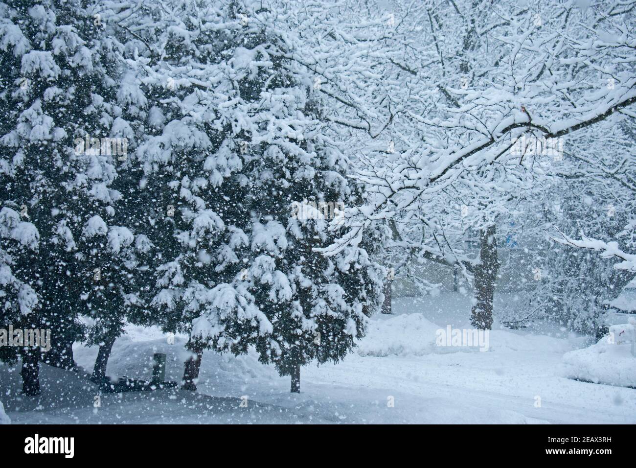 Falling snow of a mid-winter storm covers a suburban neighborhood in ...