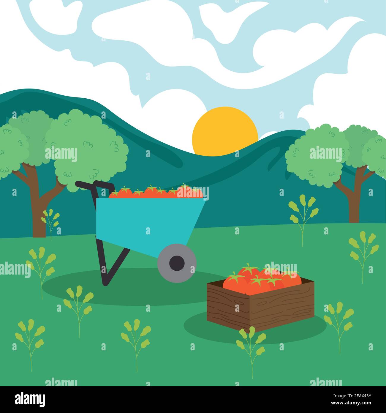 Farm wheelbarrow with tomatoes design, Agronomy lifestyle agriculture ...