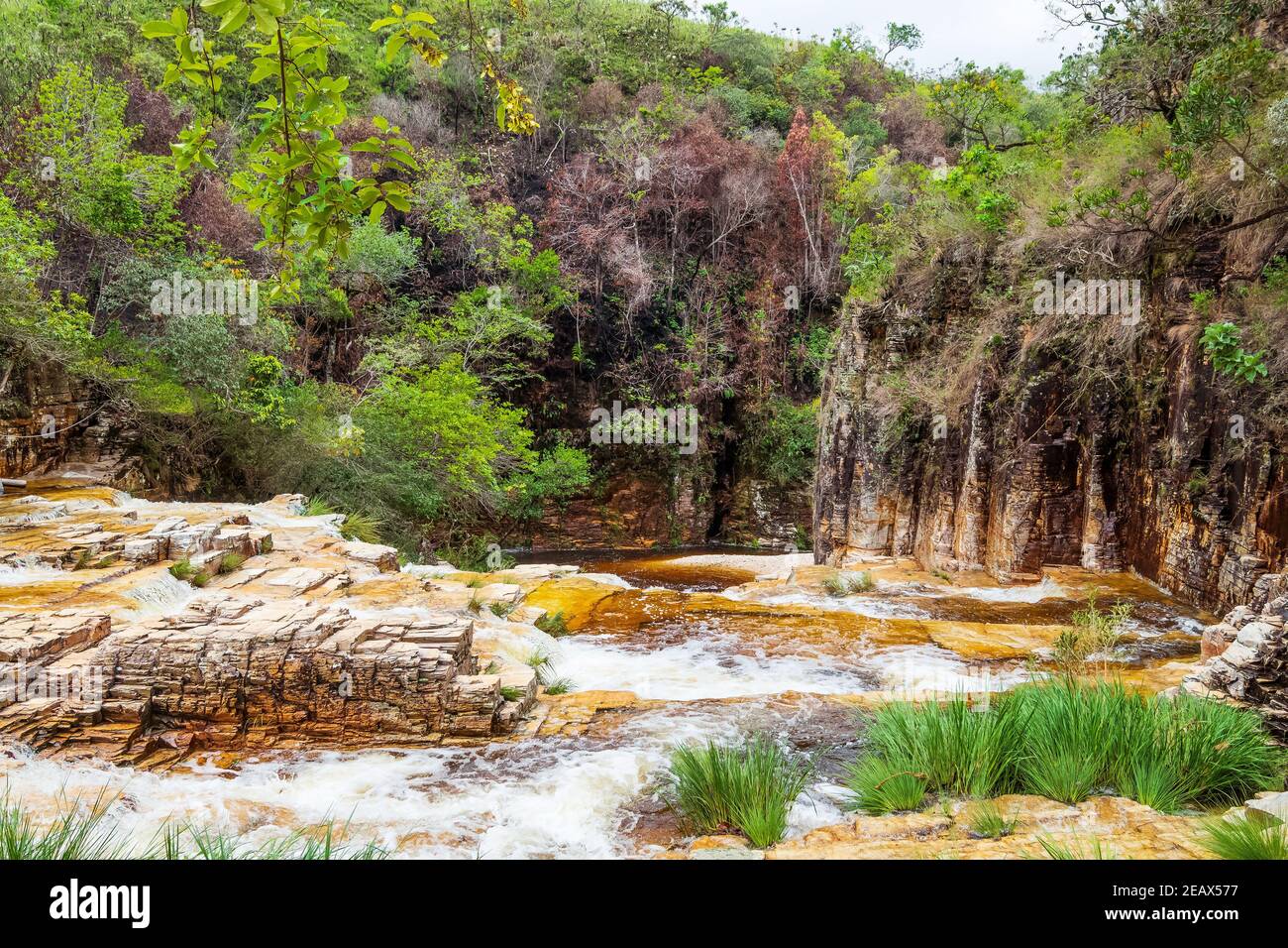 Waterfalls with golden tones, sedimentary rocks and the green ...