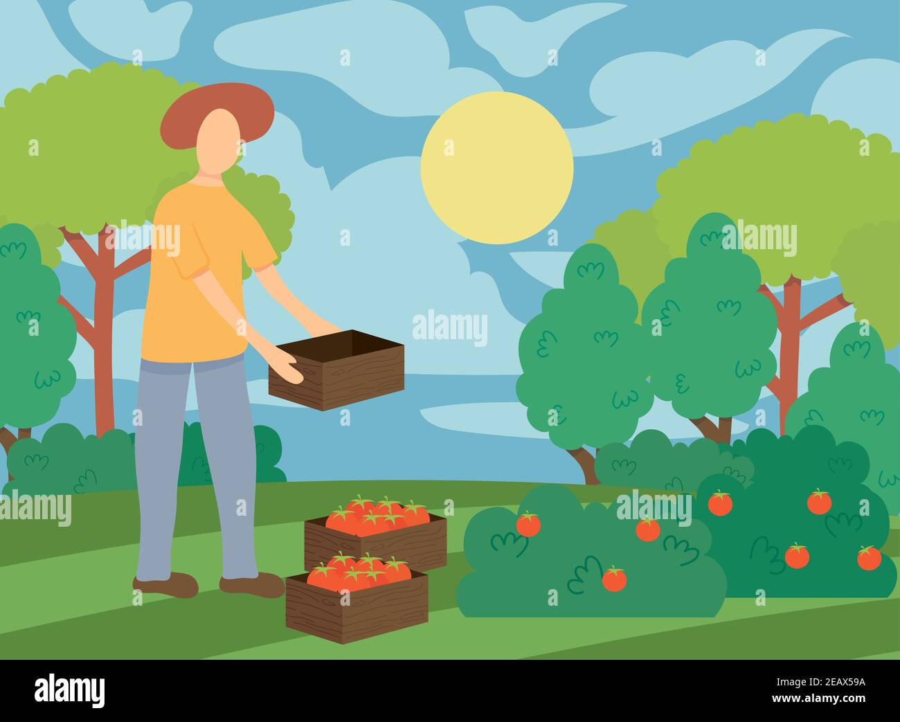 Farmer with box and tomatoes plant design, Agronomy lifestyle ...