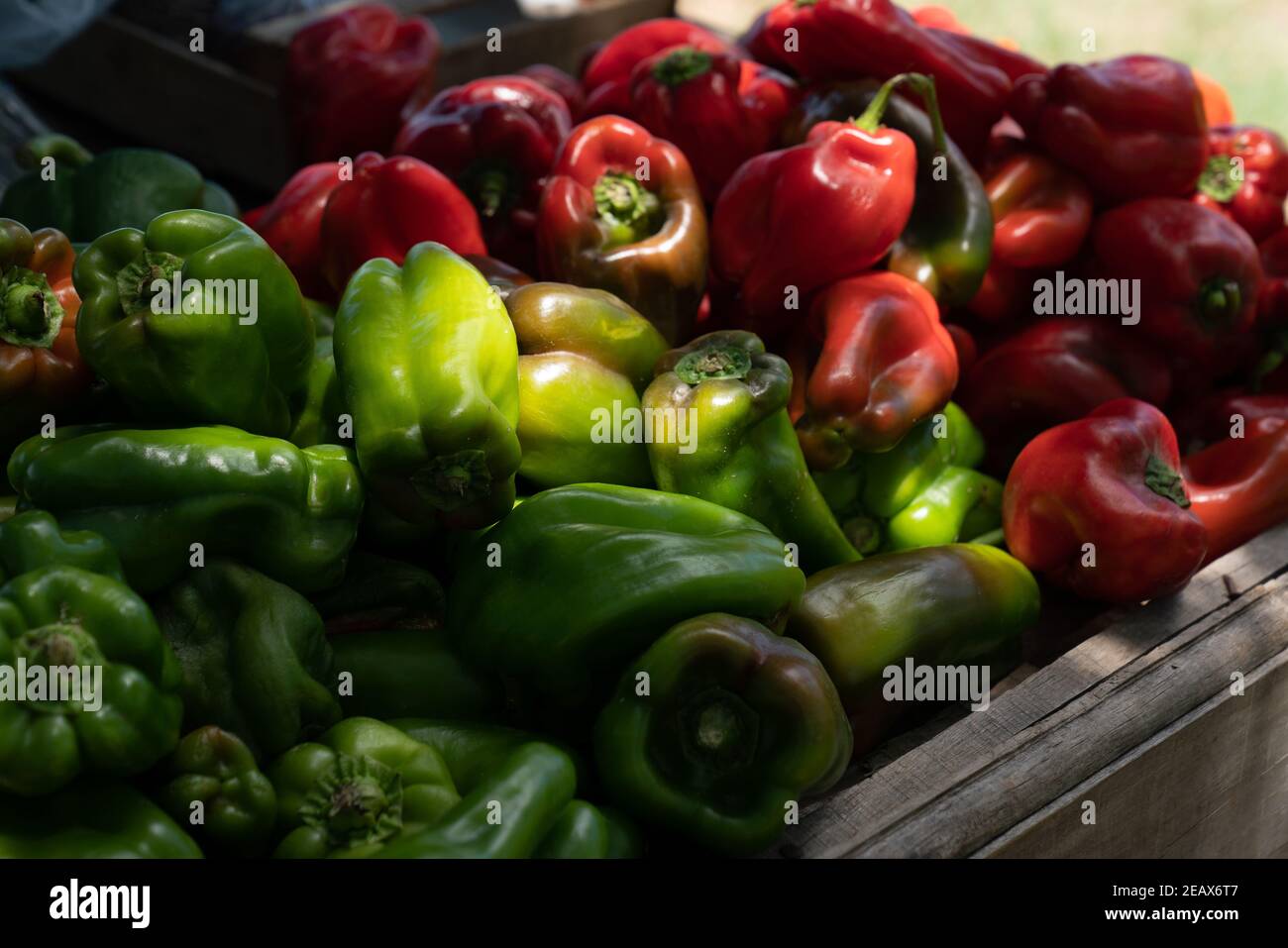 Chili lights hi-res stock photography and images - Alamy
