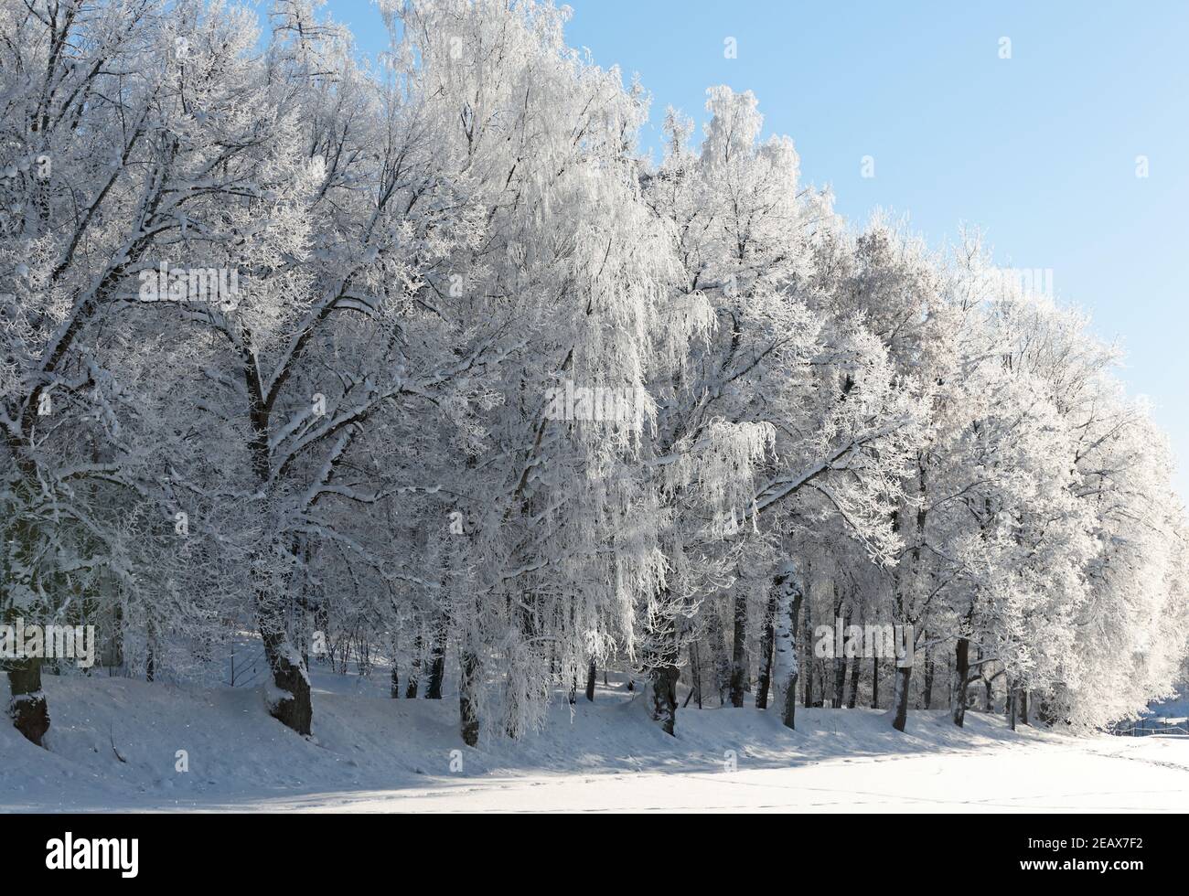 Falling putti hi-res stock photography and images - Alamy