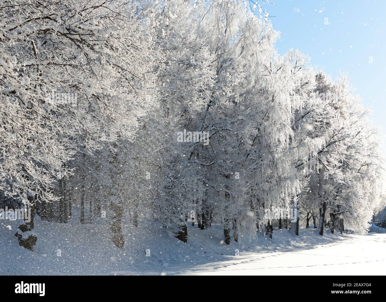Falling putti hi-res stock photography and images - Alamy
