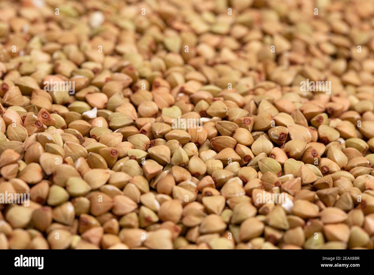 An Up Close Background of Buckwheat Grain Stock Photo - Alamy