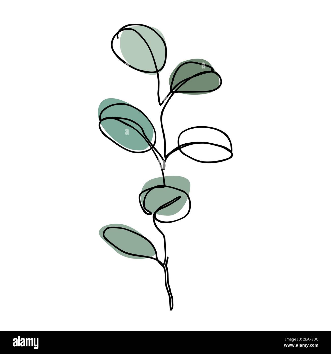 Eucalyptus branch in modern single line art style. Continuous line ...