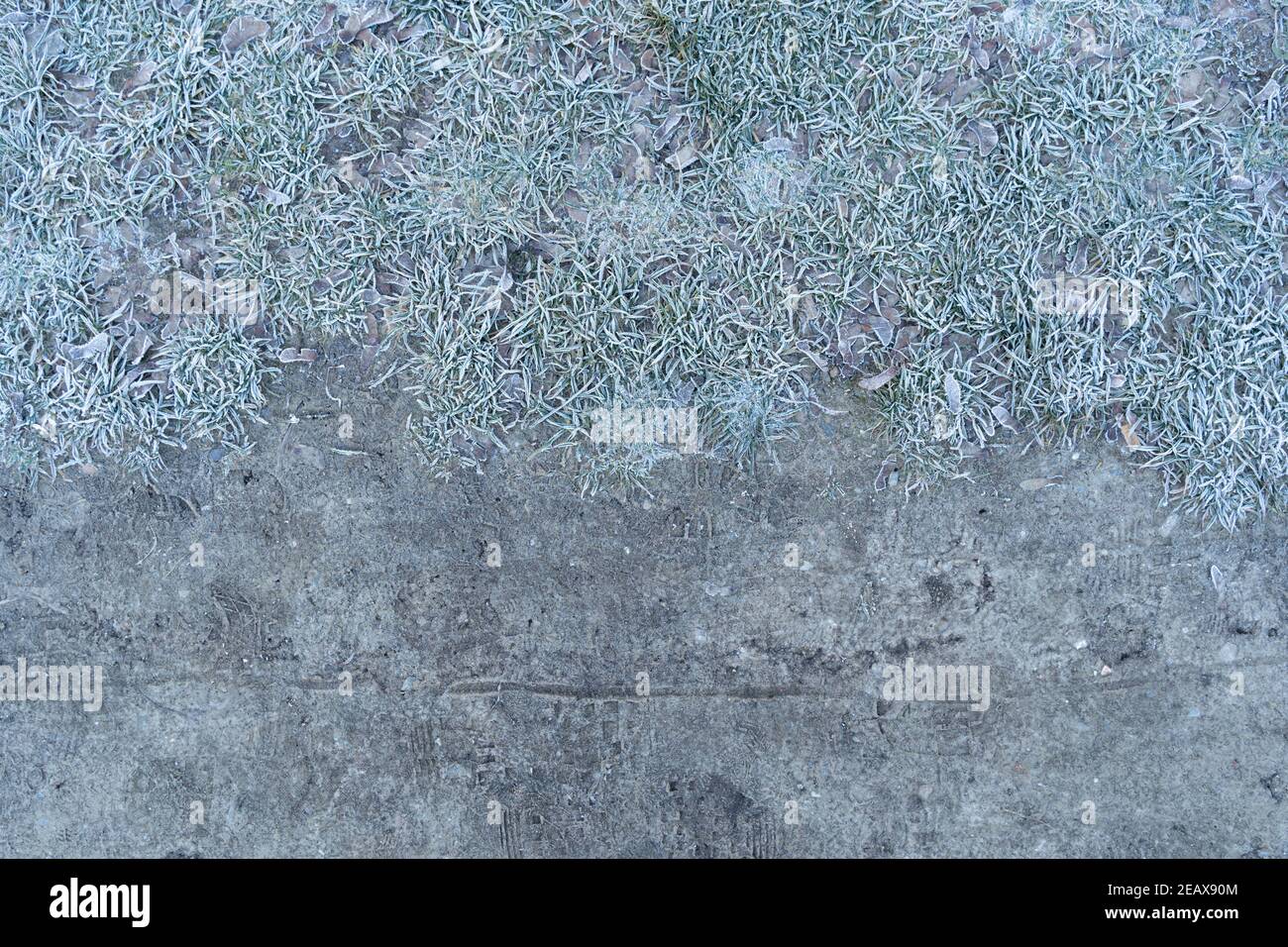 Frozen Ground Texture